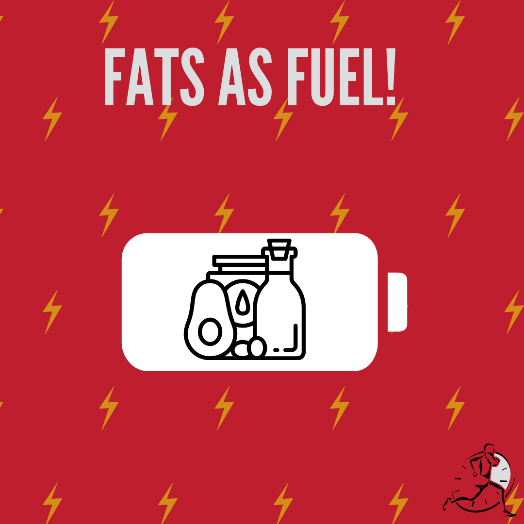 FAT is the Body's Most Abundant Fuel Source! - 4CycleRunner